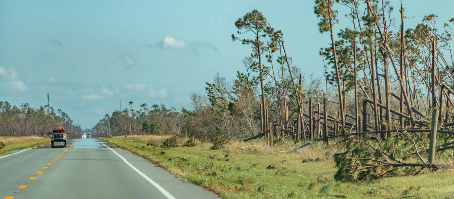 Storm Recovery - Forest Investment Associates