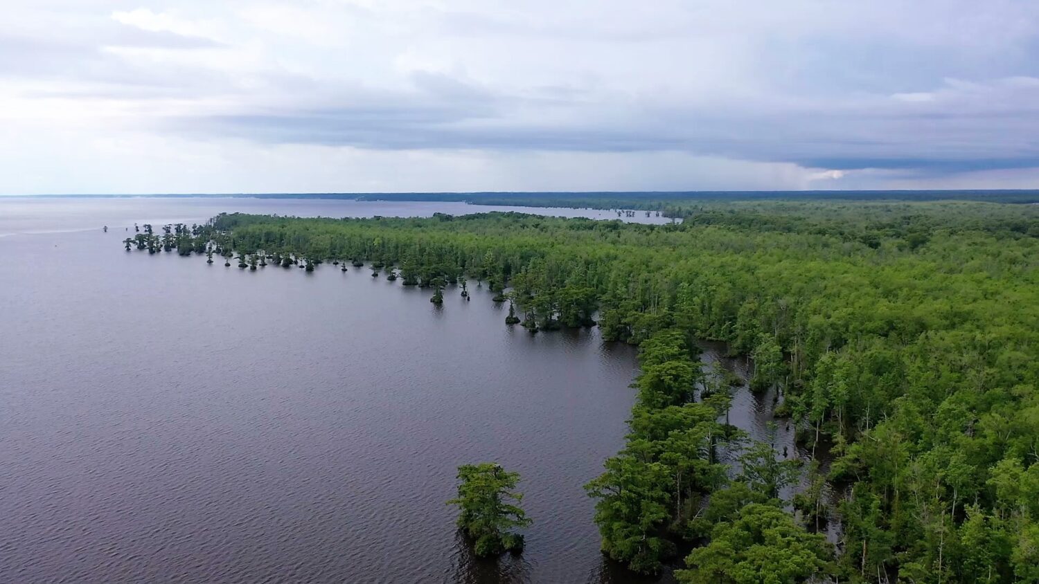 Keel Creek watershed showcases FIA’s continued efforts in Sustainable ...