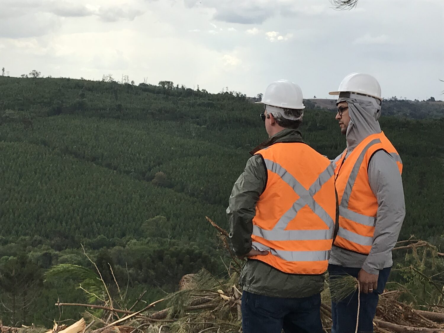 FIA Expands US Forest Certification Program - Forest Investment Associates