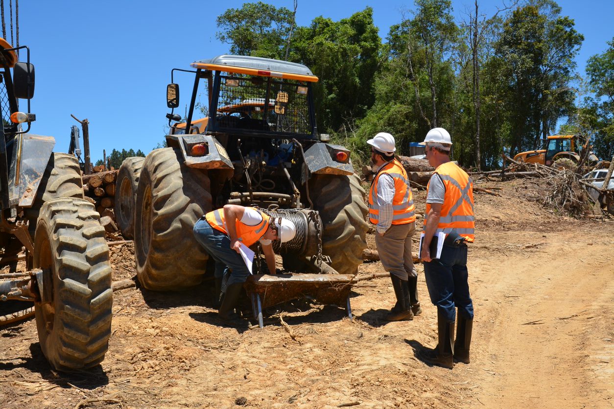 FIA Celebrates 10 Years of Conducting Business in Brazil - Forest ...