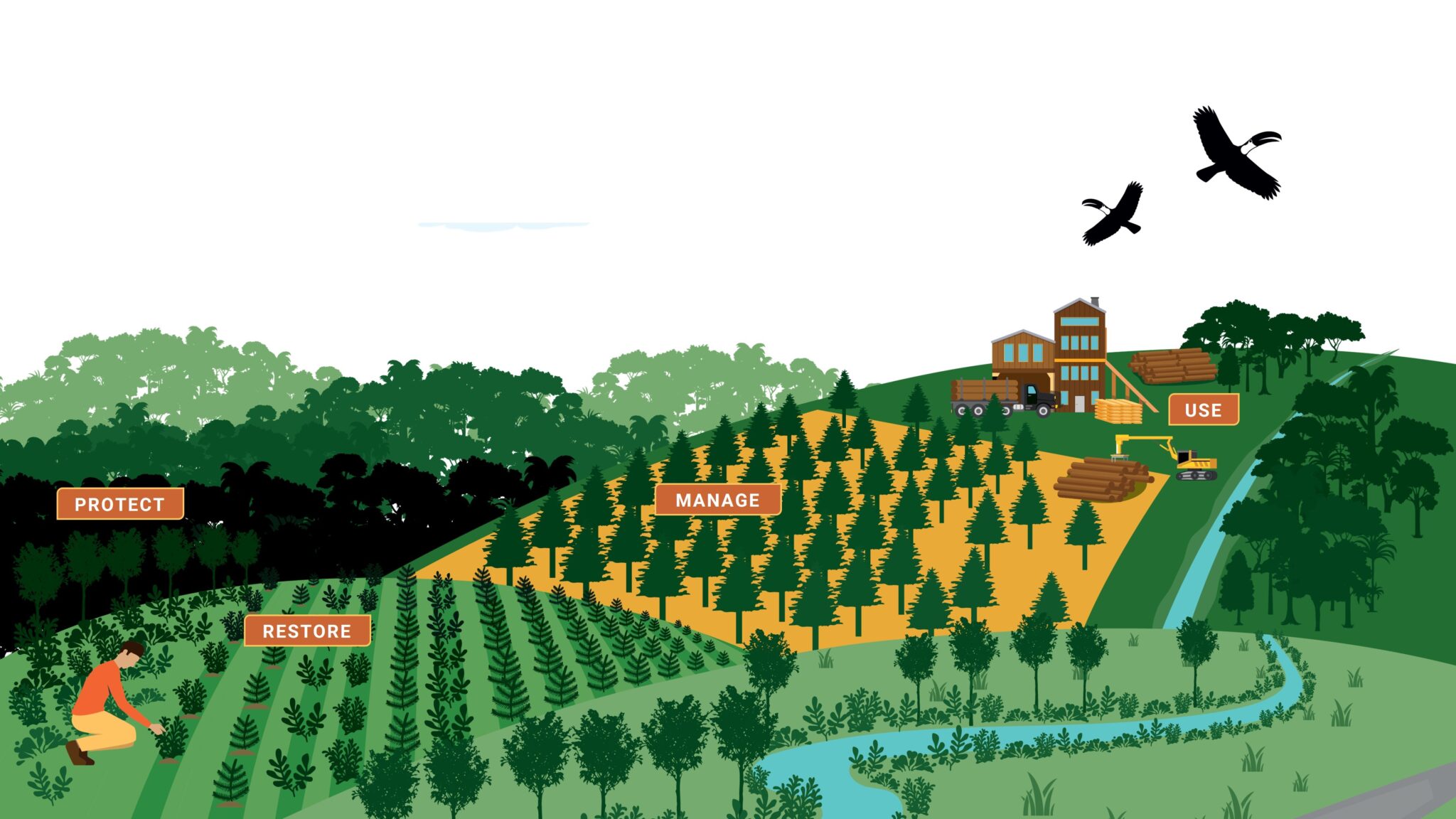 Forest Investment Associates - Home