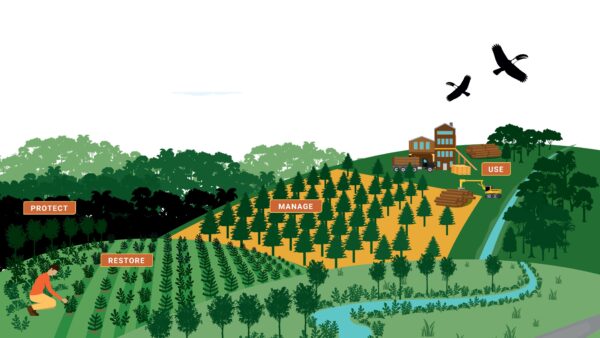 Forest Investment Associates - Home